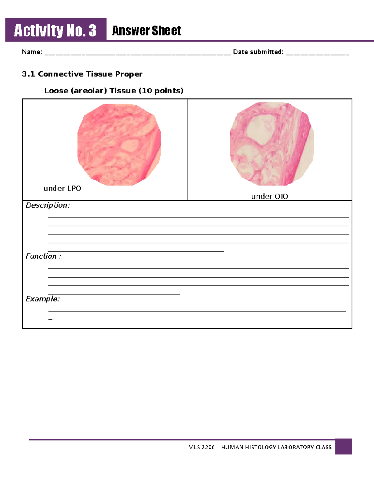 Activity 3 - Answer Sheet - Name ...