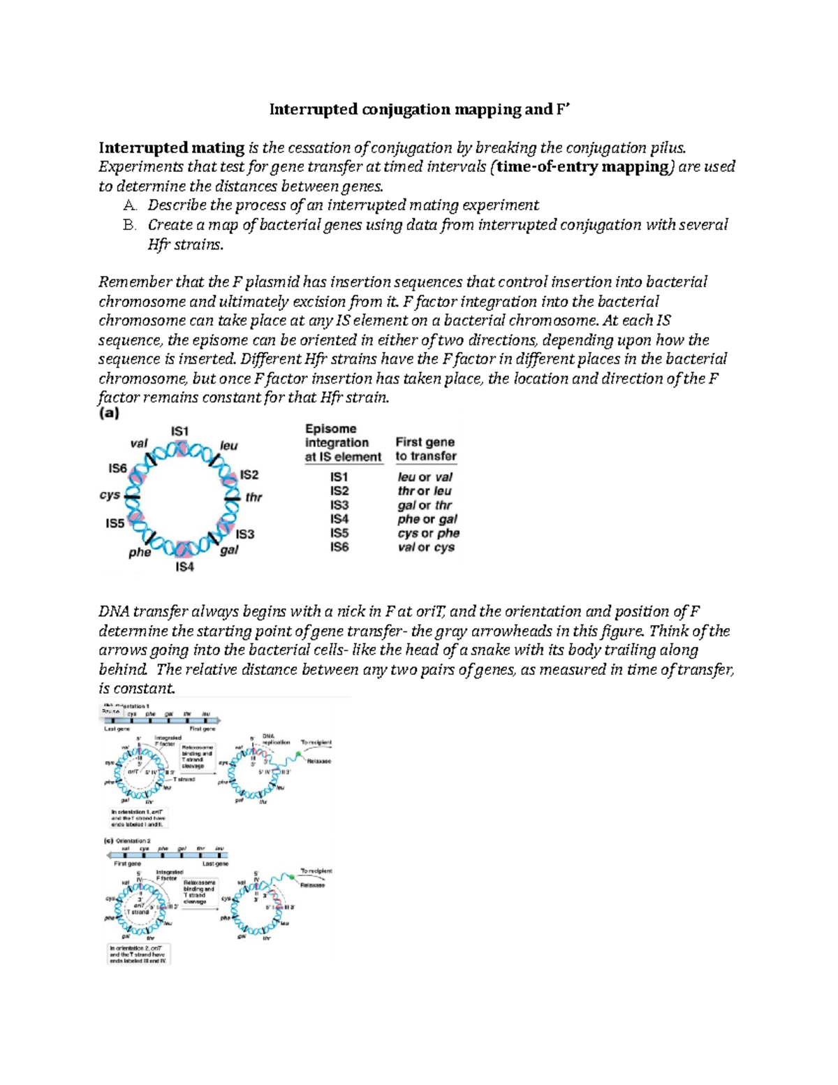 Interrupted conjugation mapping and F’ - Interrupted conjugation ...