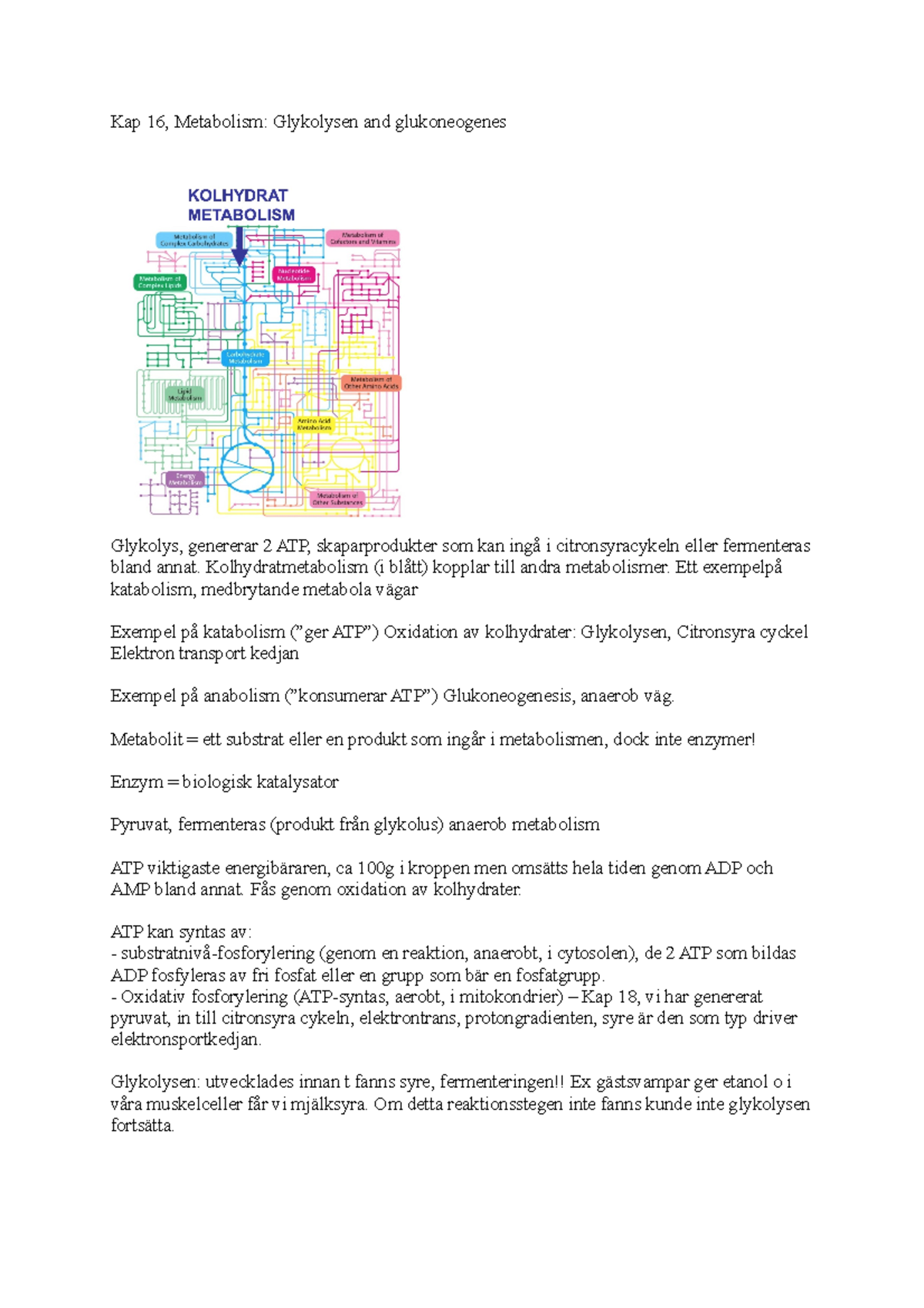 Föreläsning, Kap 16, MOBA02 - Kap 16, Metabolism: Glykolysen and ...