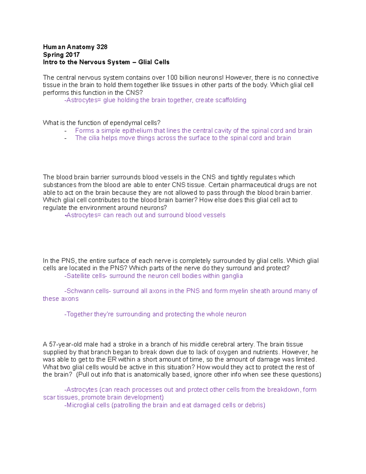 F17 Nervous Tissue -Glia Worksheet - Human Anatomy 328 Spring 2017 ...
