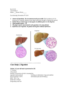 [Solved] what are the types of summation - Anatomy and Physiology II ...