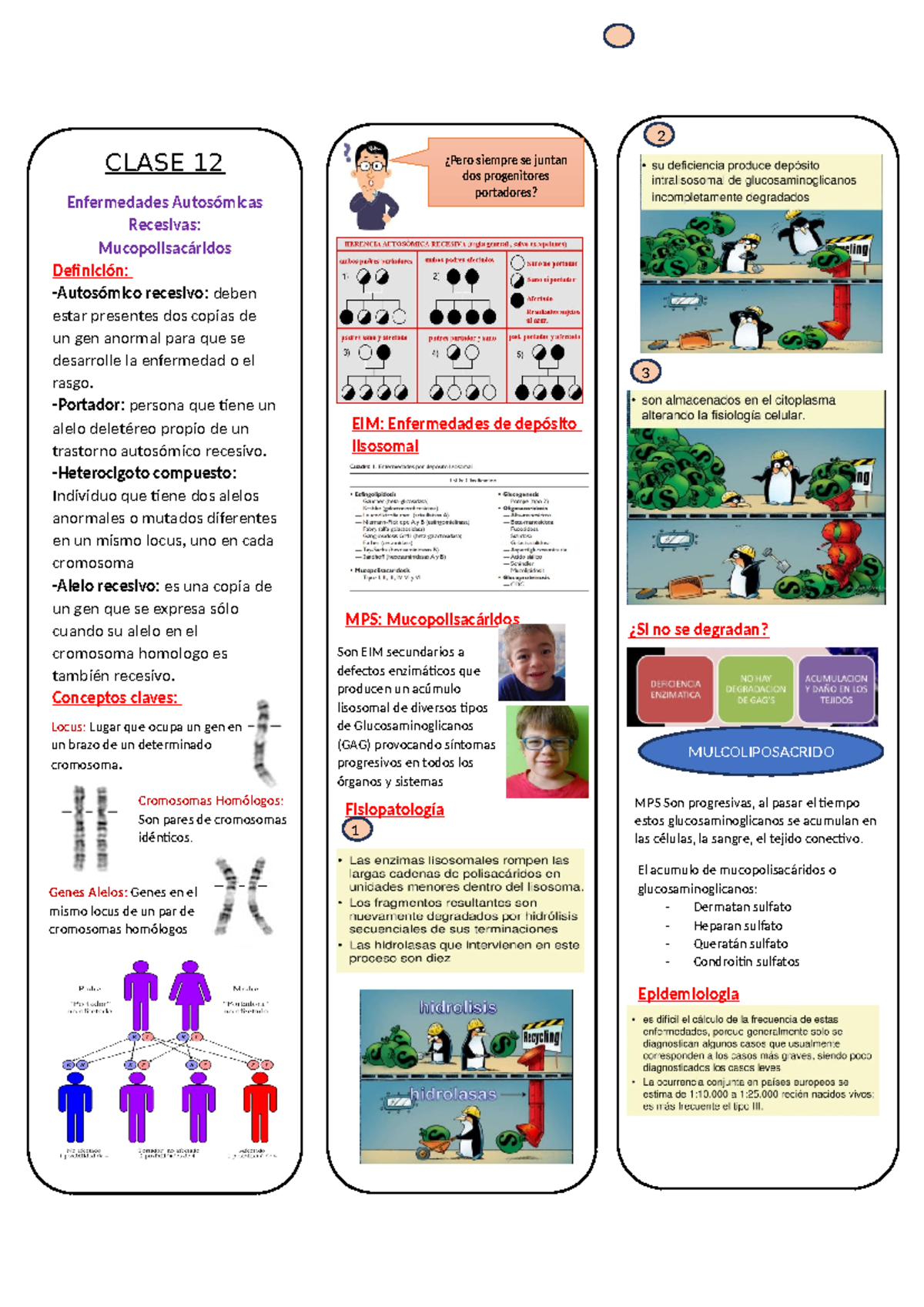 Pagian 1 - ..... - 1 CLASE 12 Enfermedades Autosómicas Recesivas ...