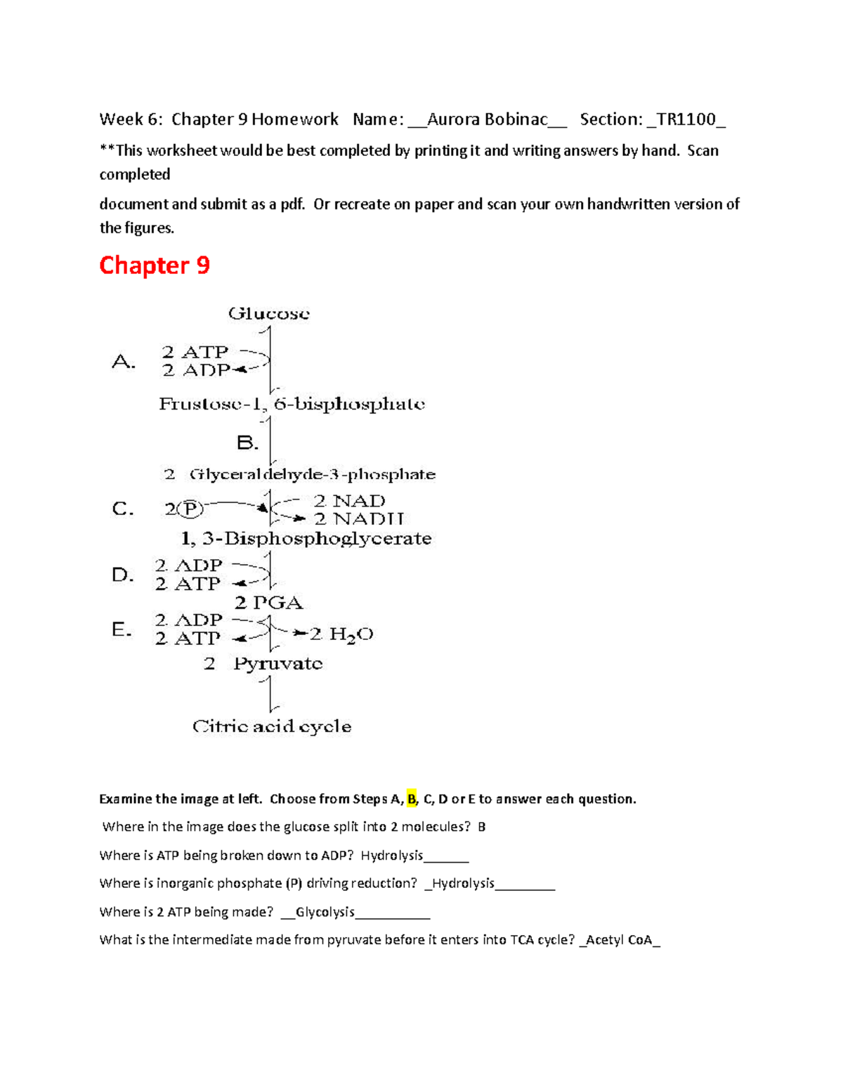 Week 6 Chapter 9 Home Work - Week 6: Chapter 9 Homework Name: Aurora Bobinac Section: TR1100 ...