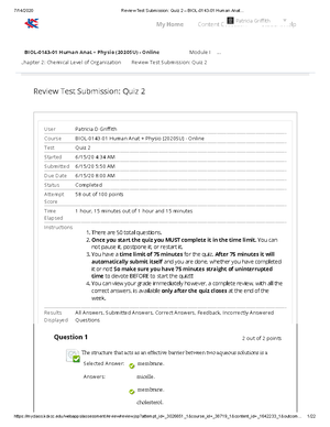 V Sim2 - Vsim - Mental Health Case: George Palo Guided Reflection ...