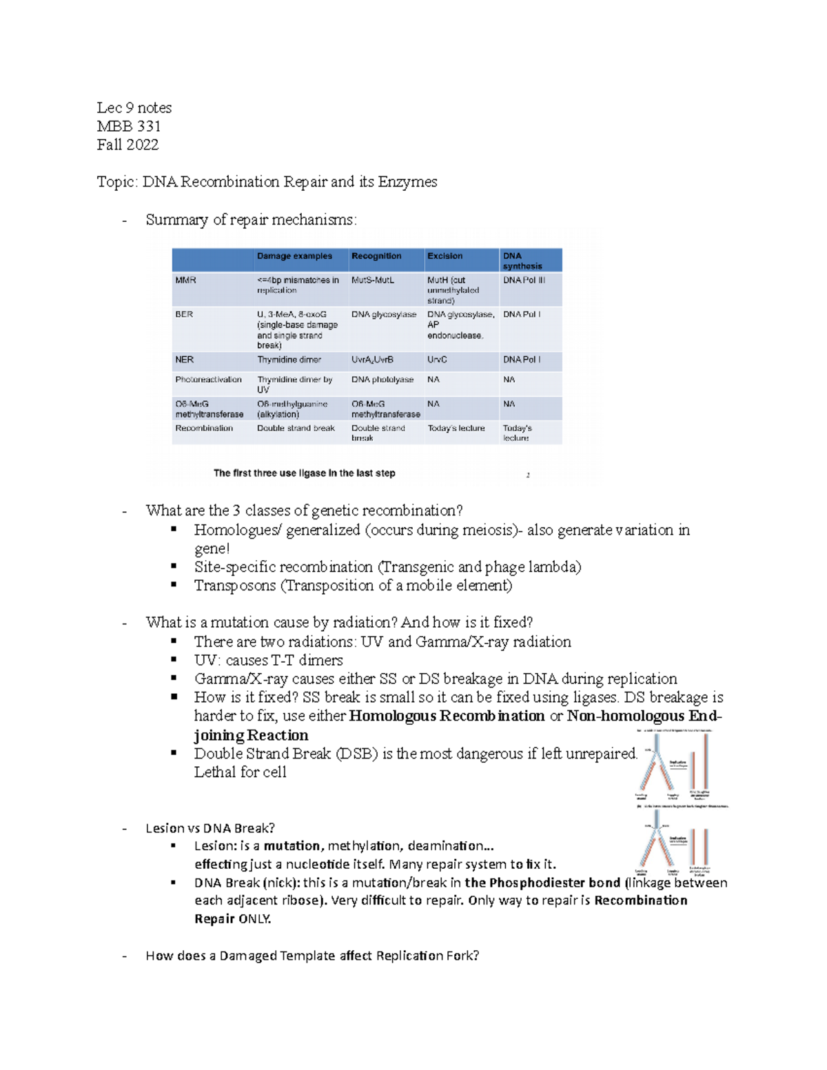 Lec 9 notes - Lec 9 notes MBB 331 Fall 2022 Topic: DNA Recombination ...