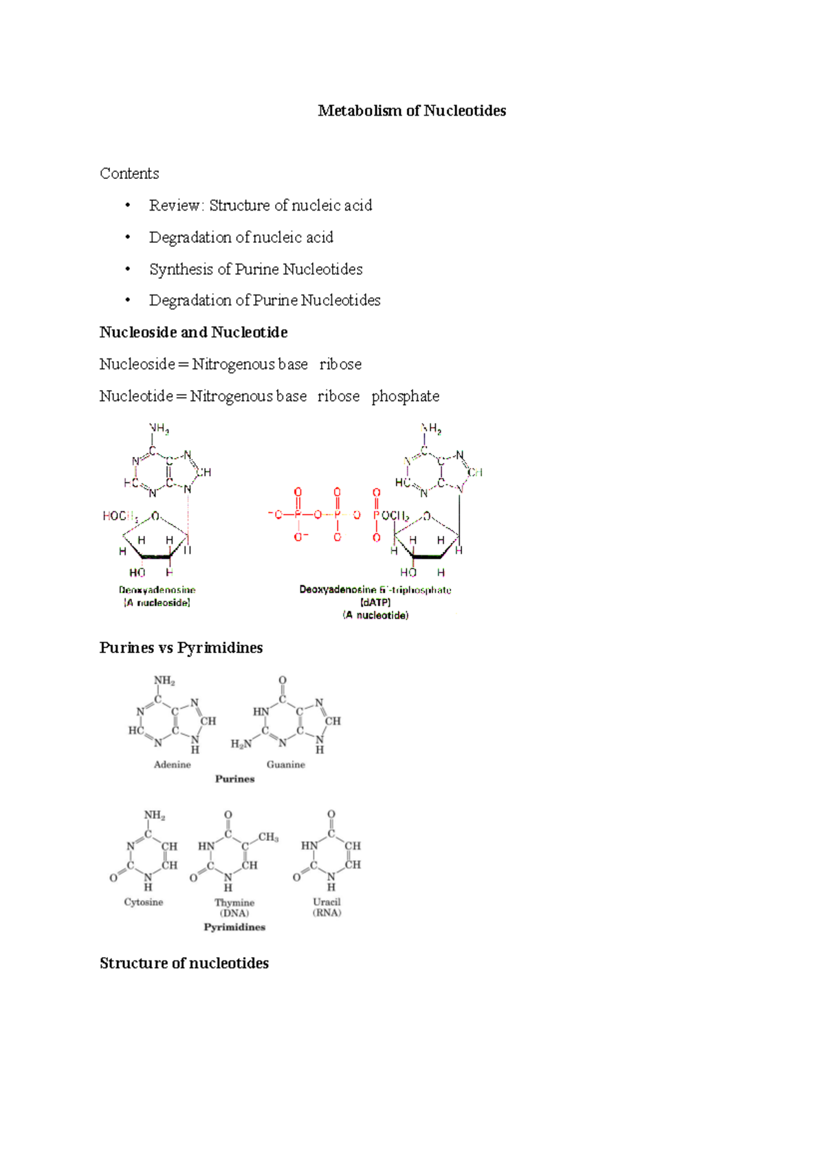 Metabolism of Nucleotides - Metabolism of Nucleotides Contents Review ...