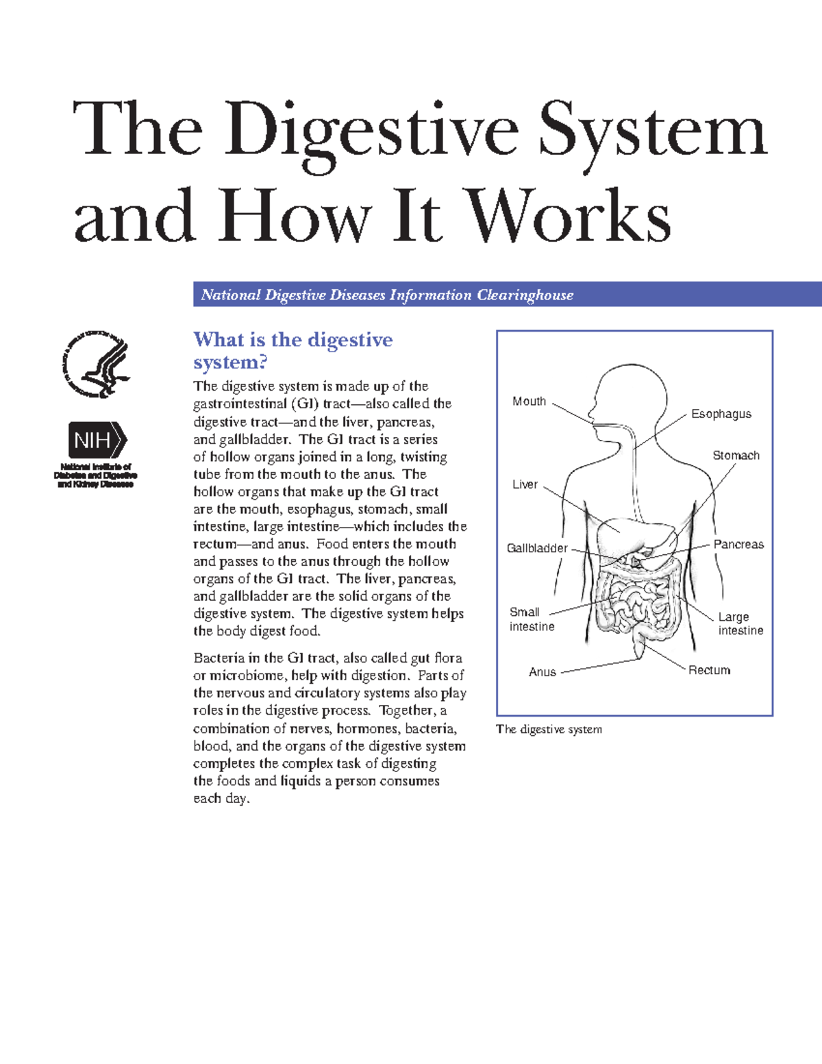 Digestive System 508 - The Digestive System and How It Works National ...