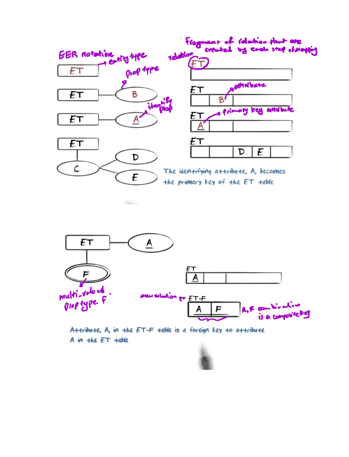 EER Relational Mapping - EER notation fragment of relation that are created by each step ...