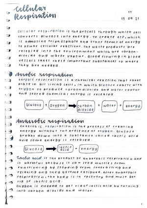 Respiratory system - Inspiration, Expiration Process and ADP/ATP - NIP ...
