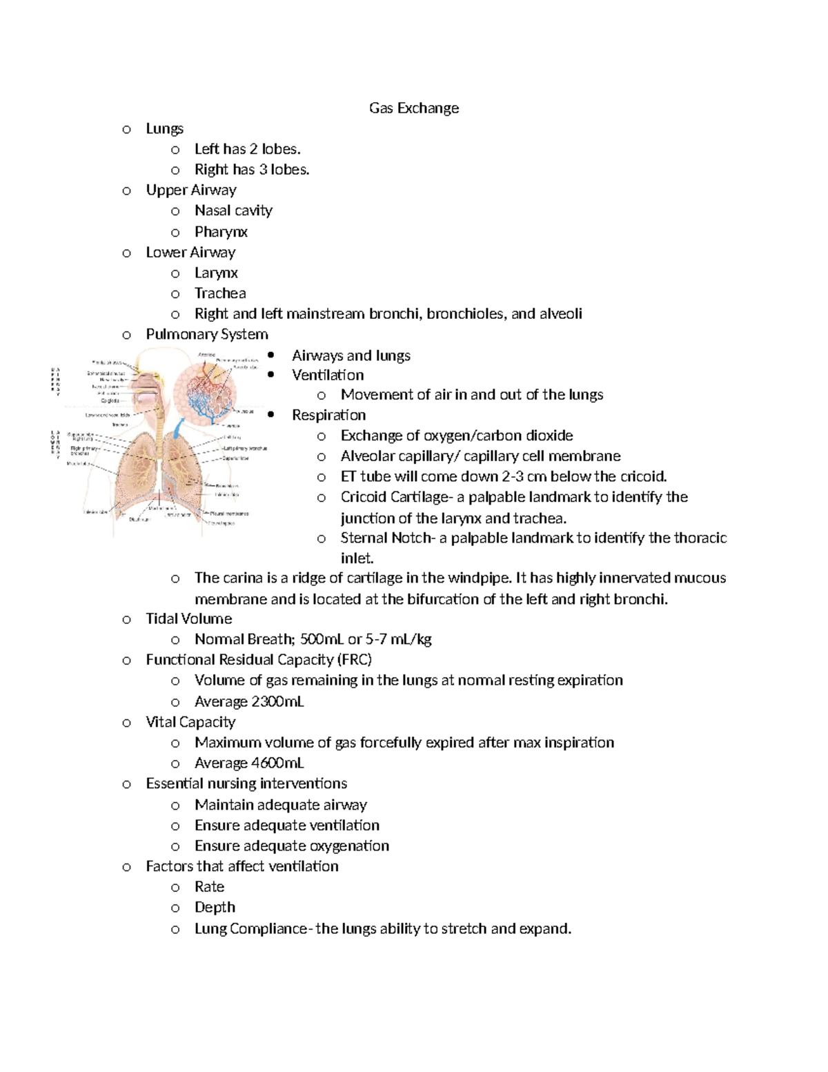 Gas Exchange - o Right has 3 lobes. o Upper Airway o Nasal cavity o ...