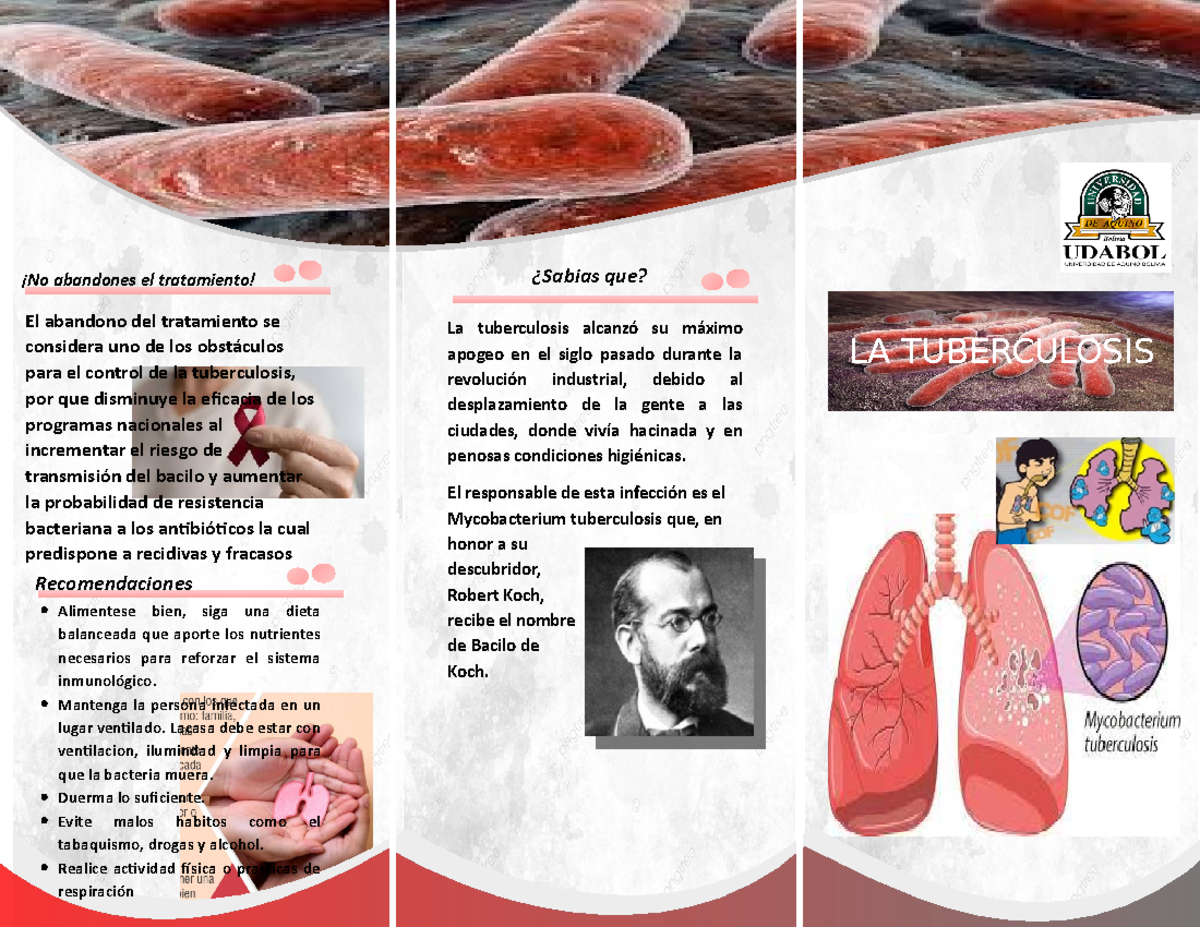 Triptico T - kfvlfmlvmfl - KMM ¿Sabias que? Recomendaciones ¡No ...