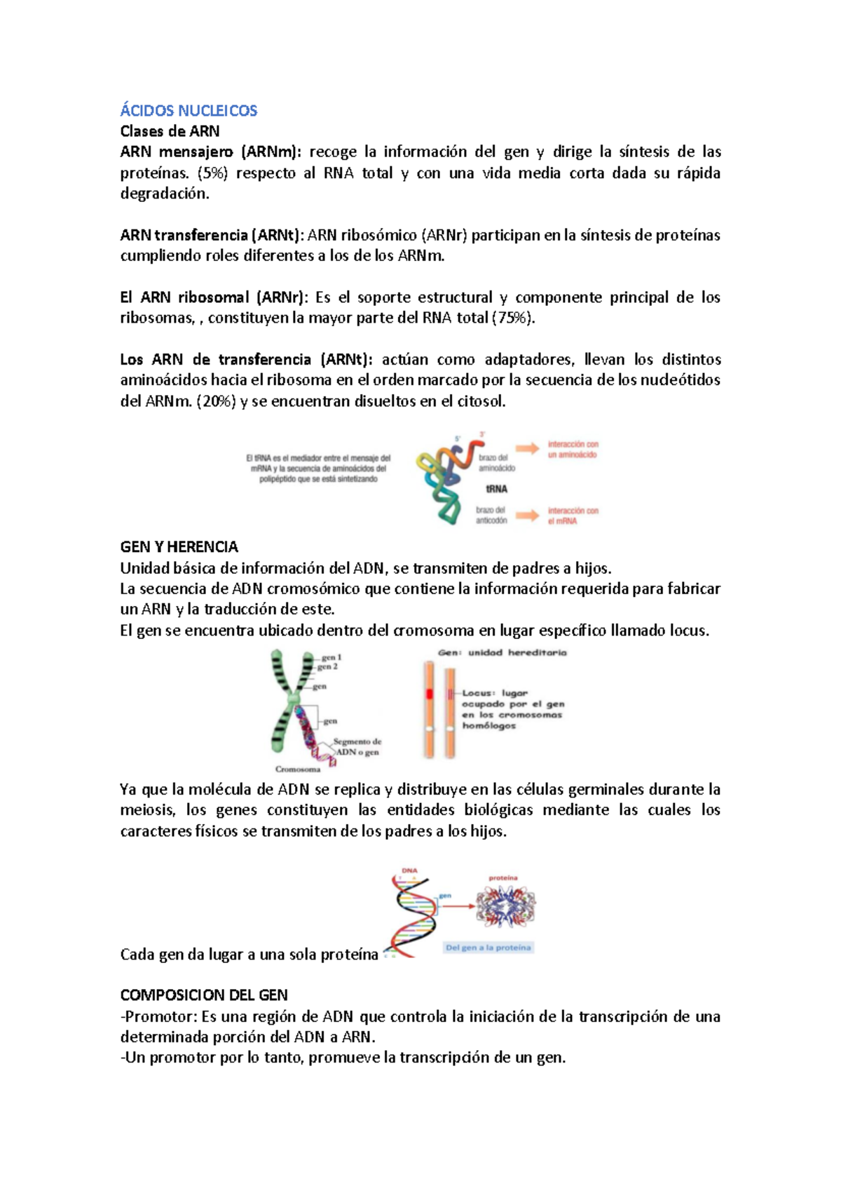 Á Cidos Nucleicos - apuntes sobre el adn - ¡CIDOS NUCLEICOS Clases de ...