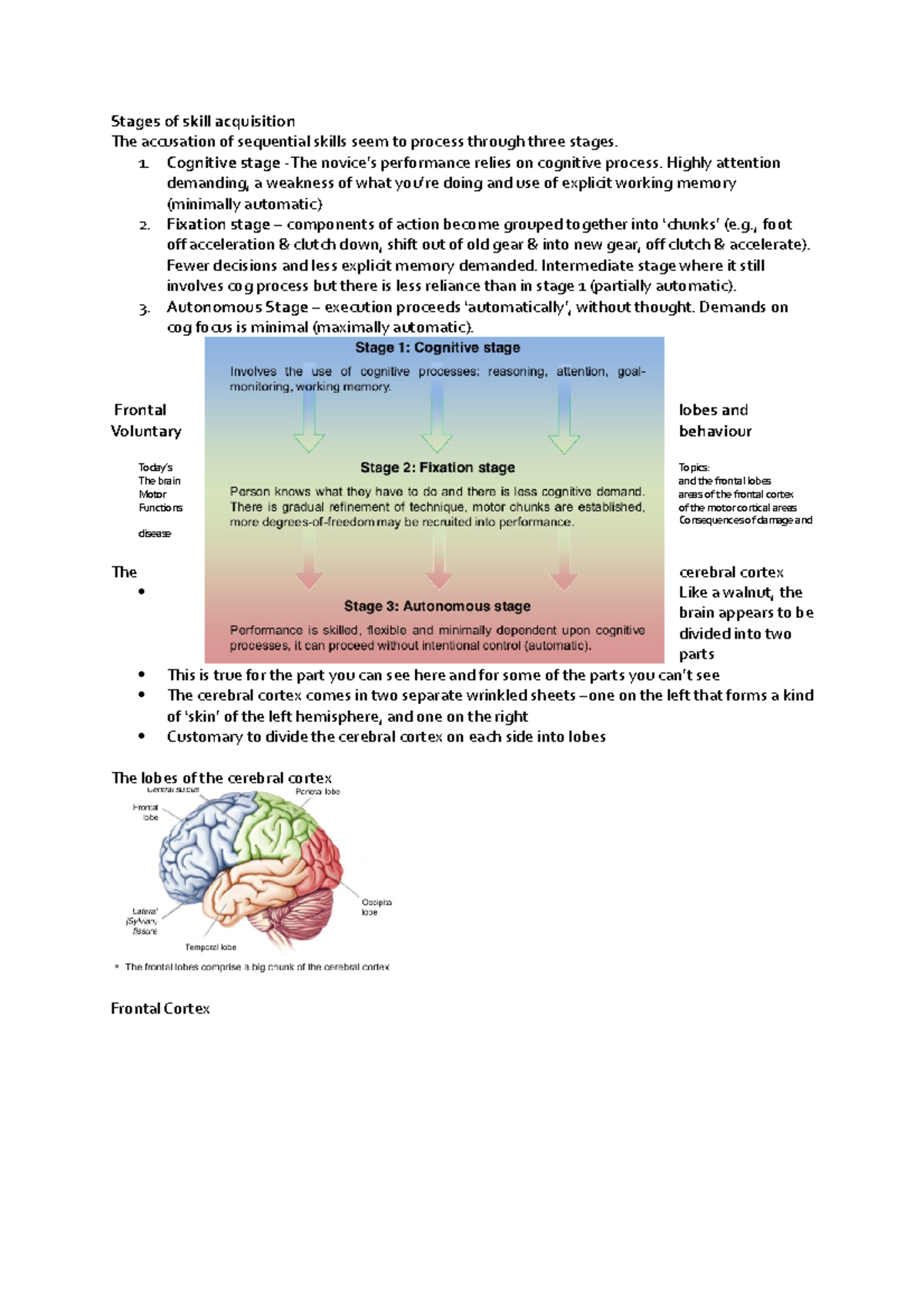 Stages of skill acquisition - 1. Cognitive stage -The novice’s ...