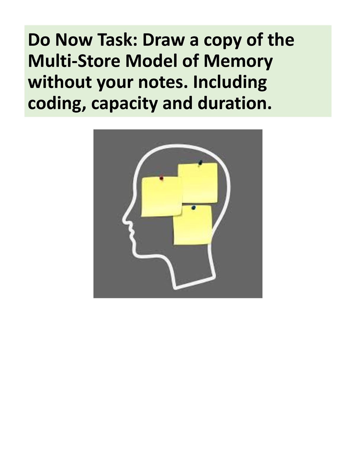 Easy Essay Planning MSM ( for Multi Store Model Memory Essay) - Do Now ...