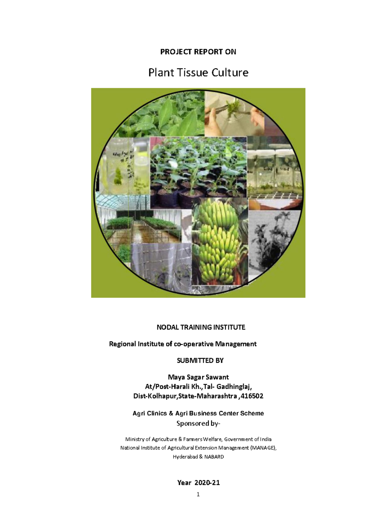 11 - It gives additional detail - PROJECT REPORT ON Plant Tissue ...