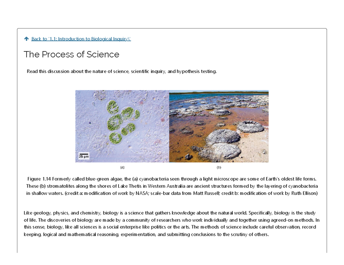 BIO101 The Process of Science Saylor Academy - Back to '1: Introduction ...