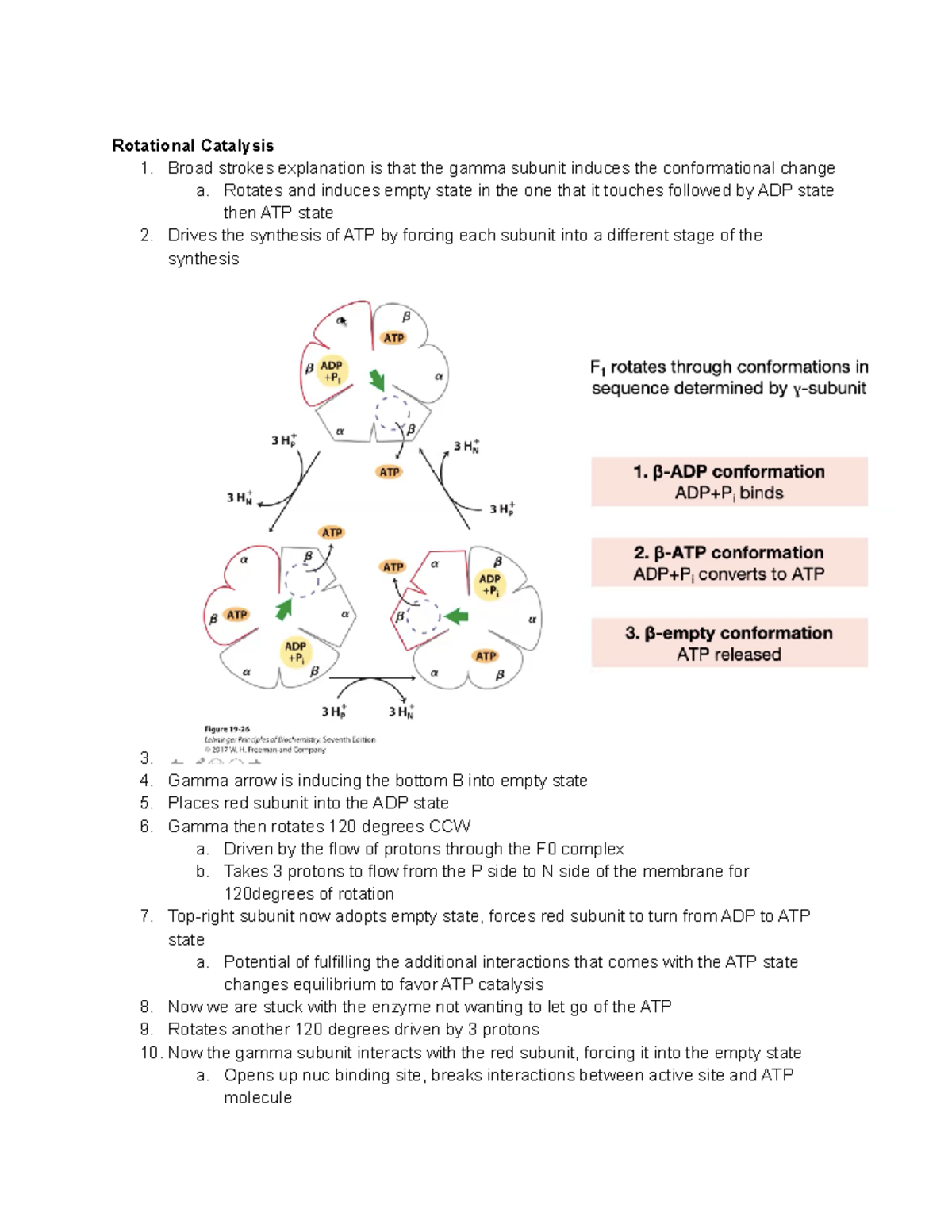 L29B - Lecture notes 29B - BIO 361 - SBU - Studocu