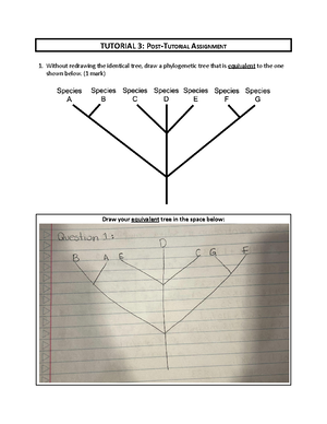Tutorial 1 Referencing Assignment - Warning: TT: undefined function: 32 ...