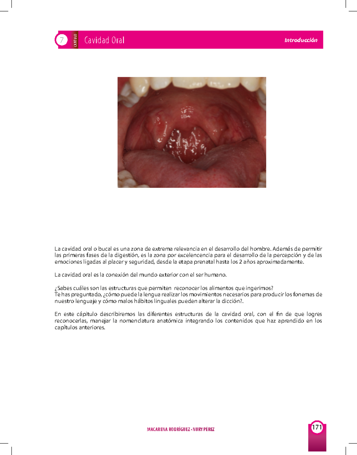 Publication (2) 2 - manual anatomia - CAPÍTULO 7 Cav i d a d O ra l La ...