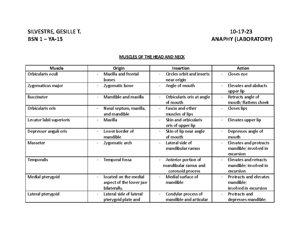 The Muscular System (Origin, Insertion, and Action) Template ...