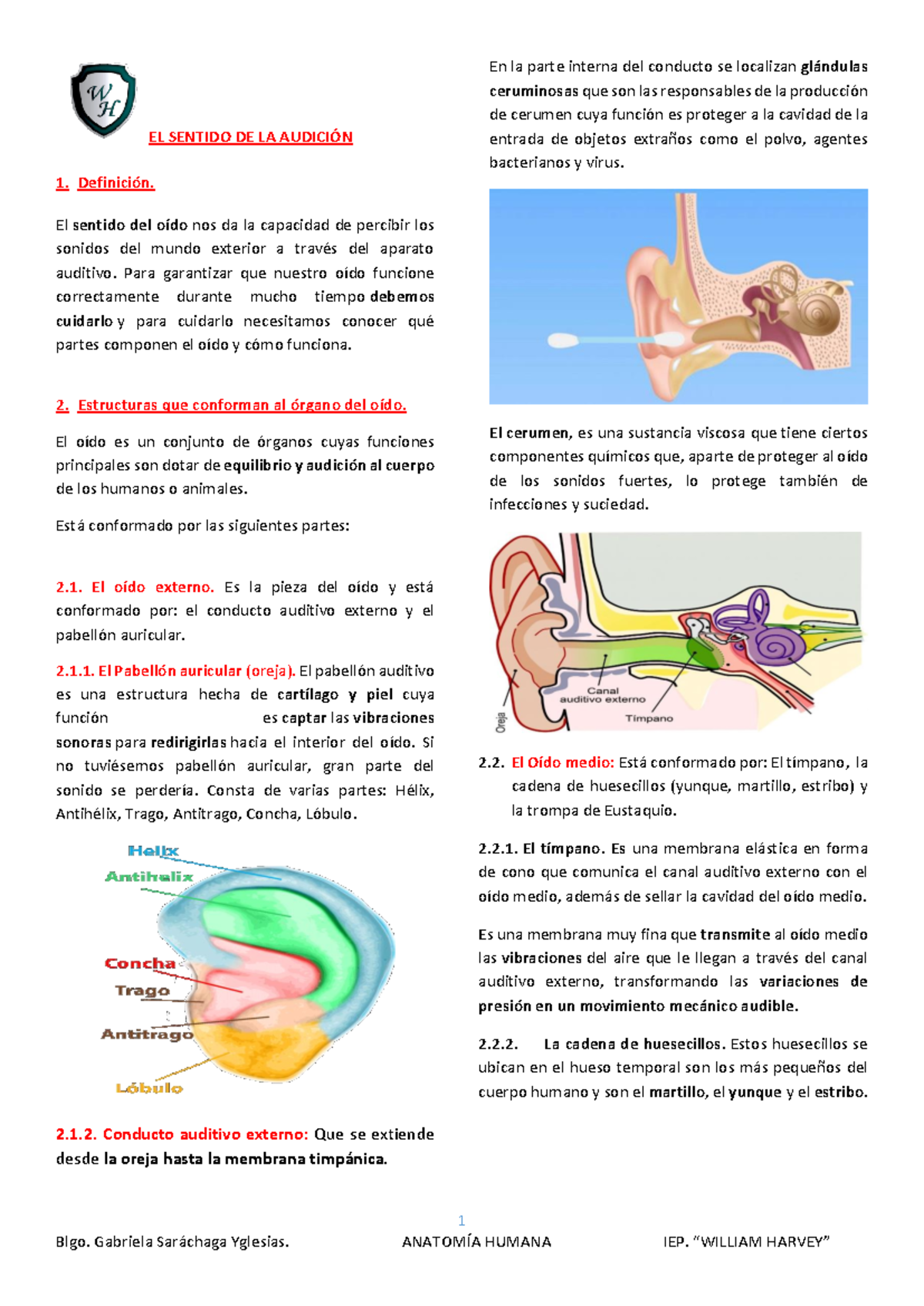 EL Sentido DE LA Audicion - 1 Blgo. Gabriela Saráchaga Yglesias ...