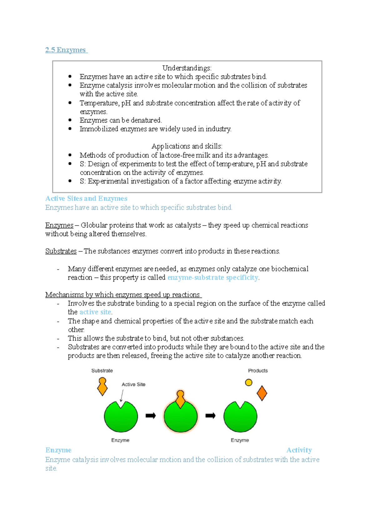 2.5 Enzymes - 2 Enzymes Active Sites and Enzymes Enzymes have an active ...