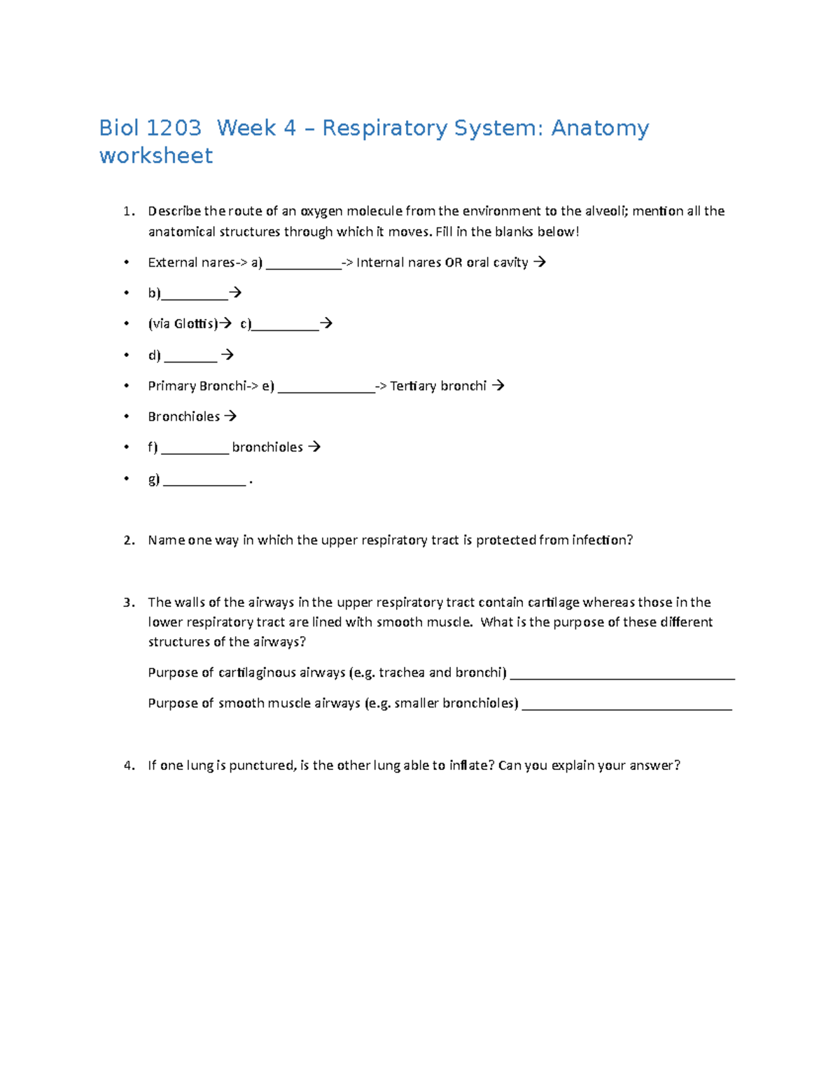 Resp anatomy worksheet - Biol 1203 Week 4 – Respiratory System: Anatomy ...