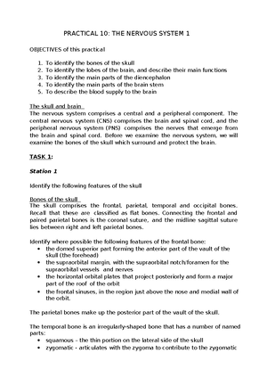 Respiration 1 - Lecture slides - Why do we breathe? Anatomy of the ...