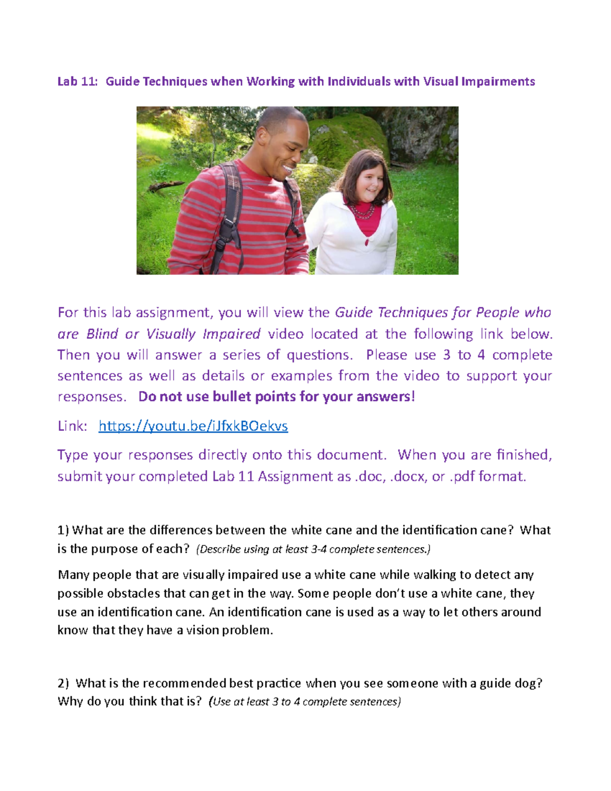 Lab 11 - VI Guide Techniquesss - Lab 11: Guide Techniques when Working ...