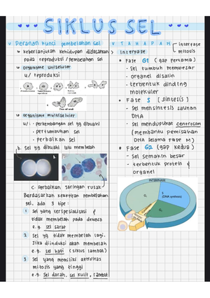 SEL - Apa Itu Sel? Sel adalah satuan unit struktural dan fungsional ...