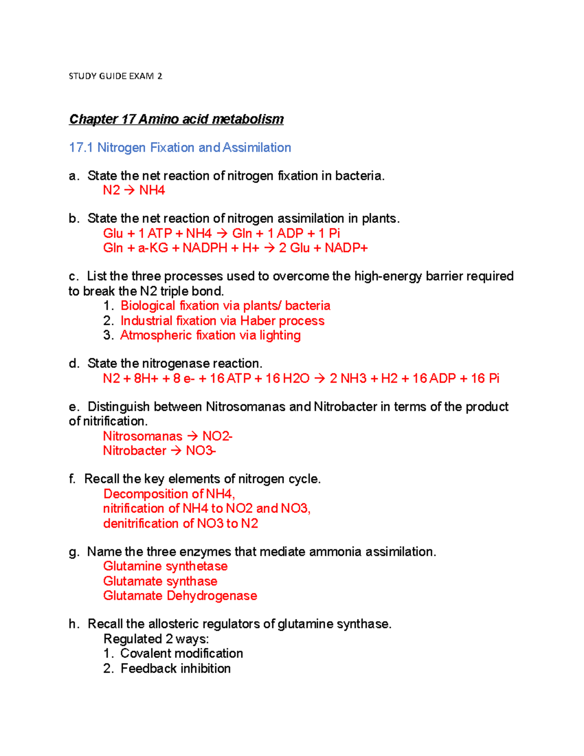 Study Guide EXAM 2 - CH 17 Amino Acid Metabolism - STUDY GUIDE EXAM 2 ...