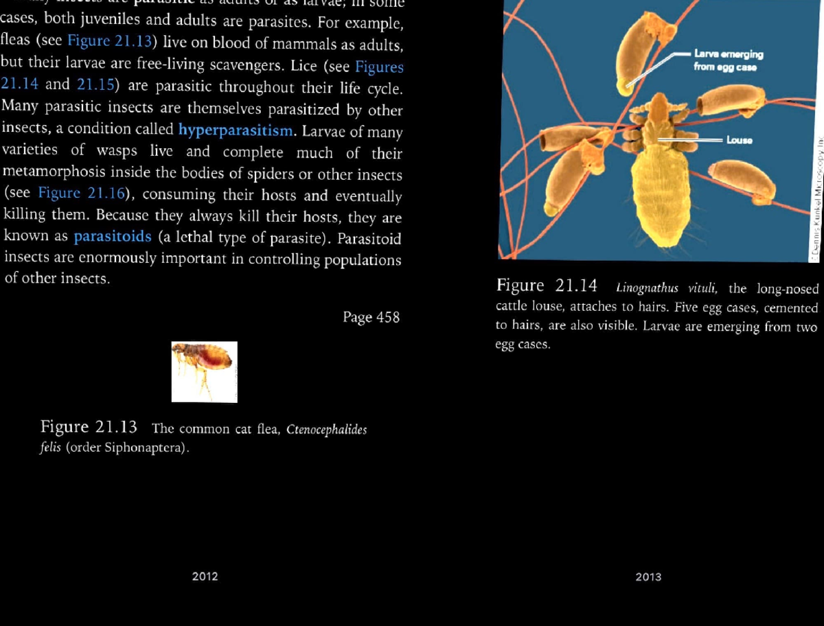 Chapter 21 notes - Dr. Matthew grober - Integrated Principles of ...