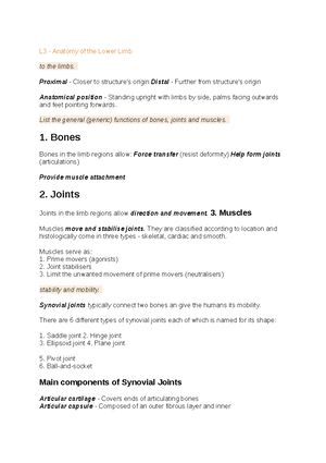Lecture 4 Anatomy of the Upper Respiratory system and Upper Digestive ...