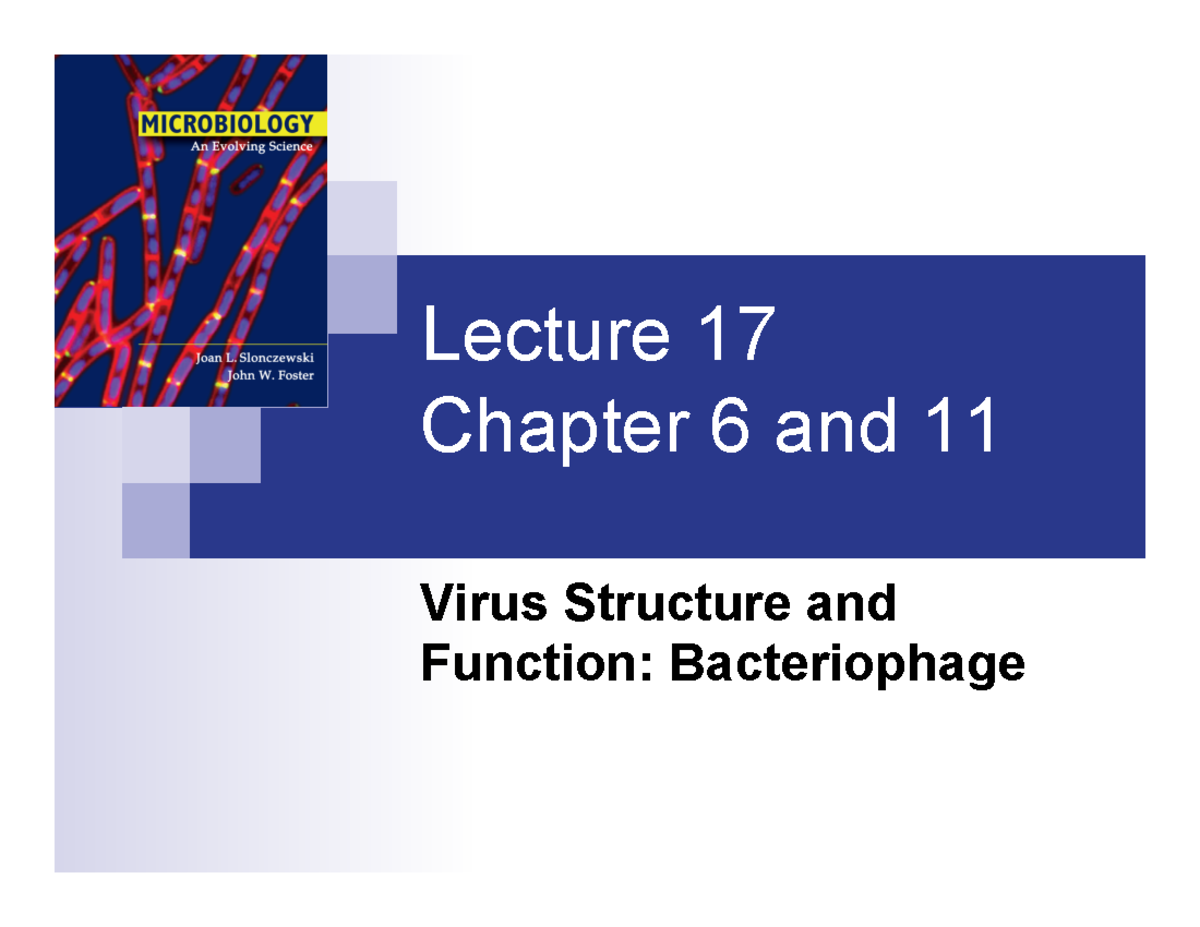 Lecture 17 final - Dr. Roper - Lecture 17 Chapter 6 and 11 Virus Structure and Function: - Studocu