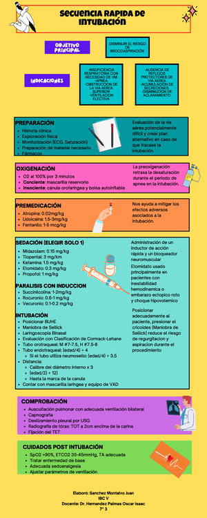 Clemps 4.3. Aparato Digestivo - REGIONES DEL ABDOMEN: Hipocondrio ...