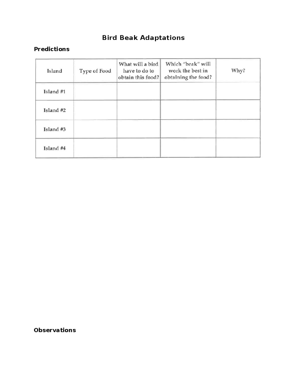 Bird beak adaptations - Assingment for biology - Bird Beak Adaptations ...
