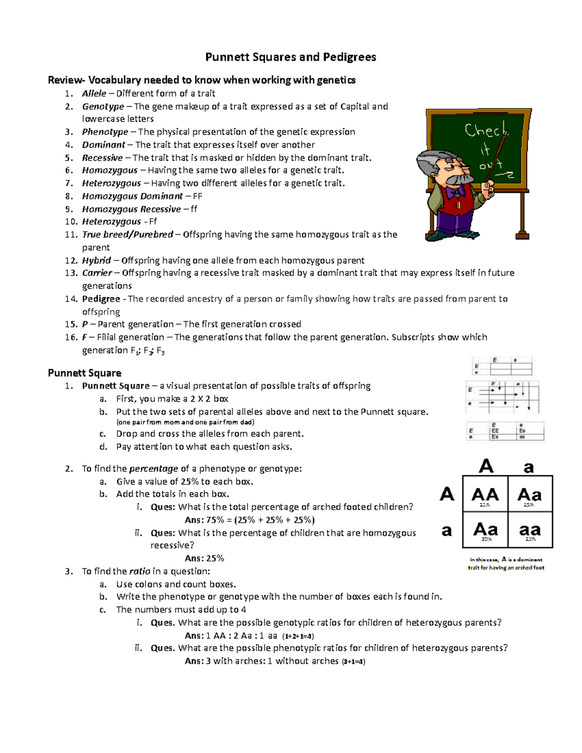 Punnett Squares and Pedigrees Study Sheet - Punnett Squares and ...