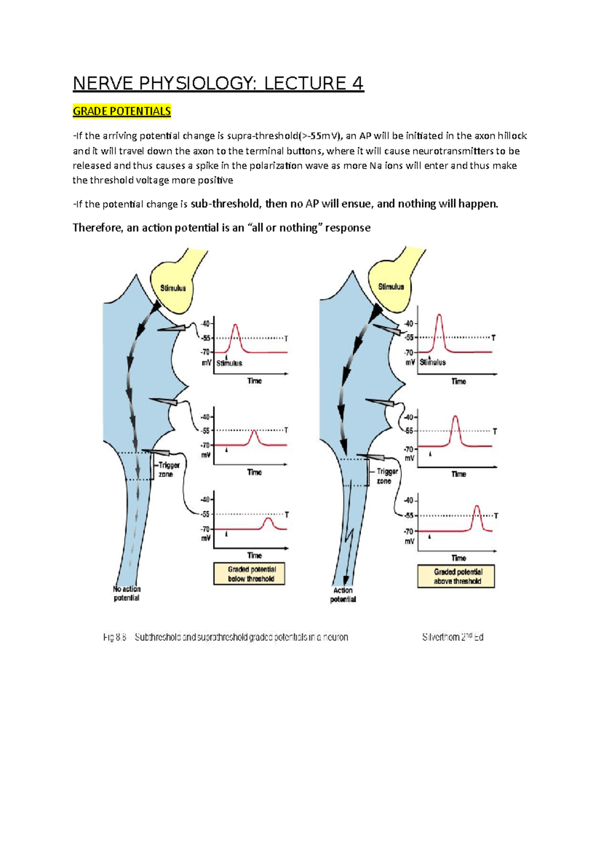 Nerve Physiology PART 4A - NERVE PHYSIOLOGY: LECTURE 4 GRADE POTENTIALS ...