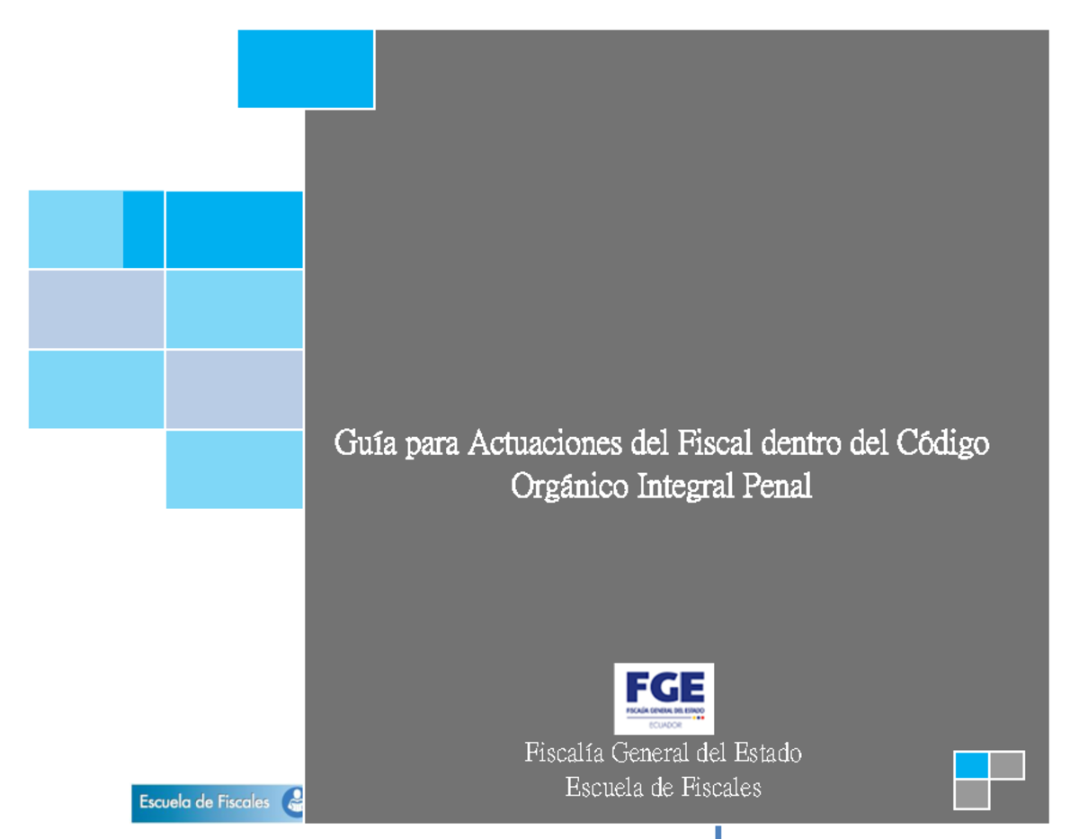 GUIA-COIP - Guia Coip - Guía para Actuaciones del Fiscal dentro del ...