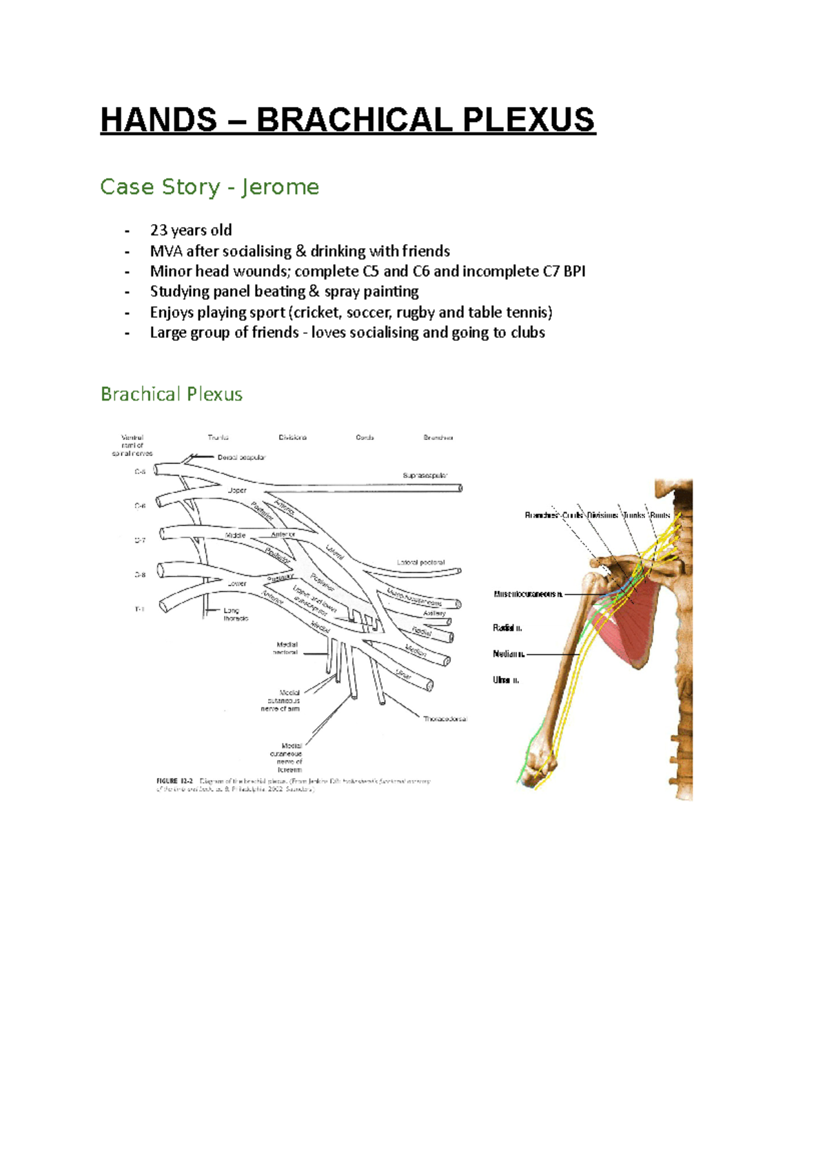 Hands- Brachial Plexus summary notes - HANDS BRACHICAL PLEXUS Case ...
