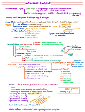 Feedback Loops answer key - Feedback Loops: Glucose and Glucagon ...