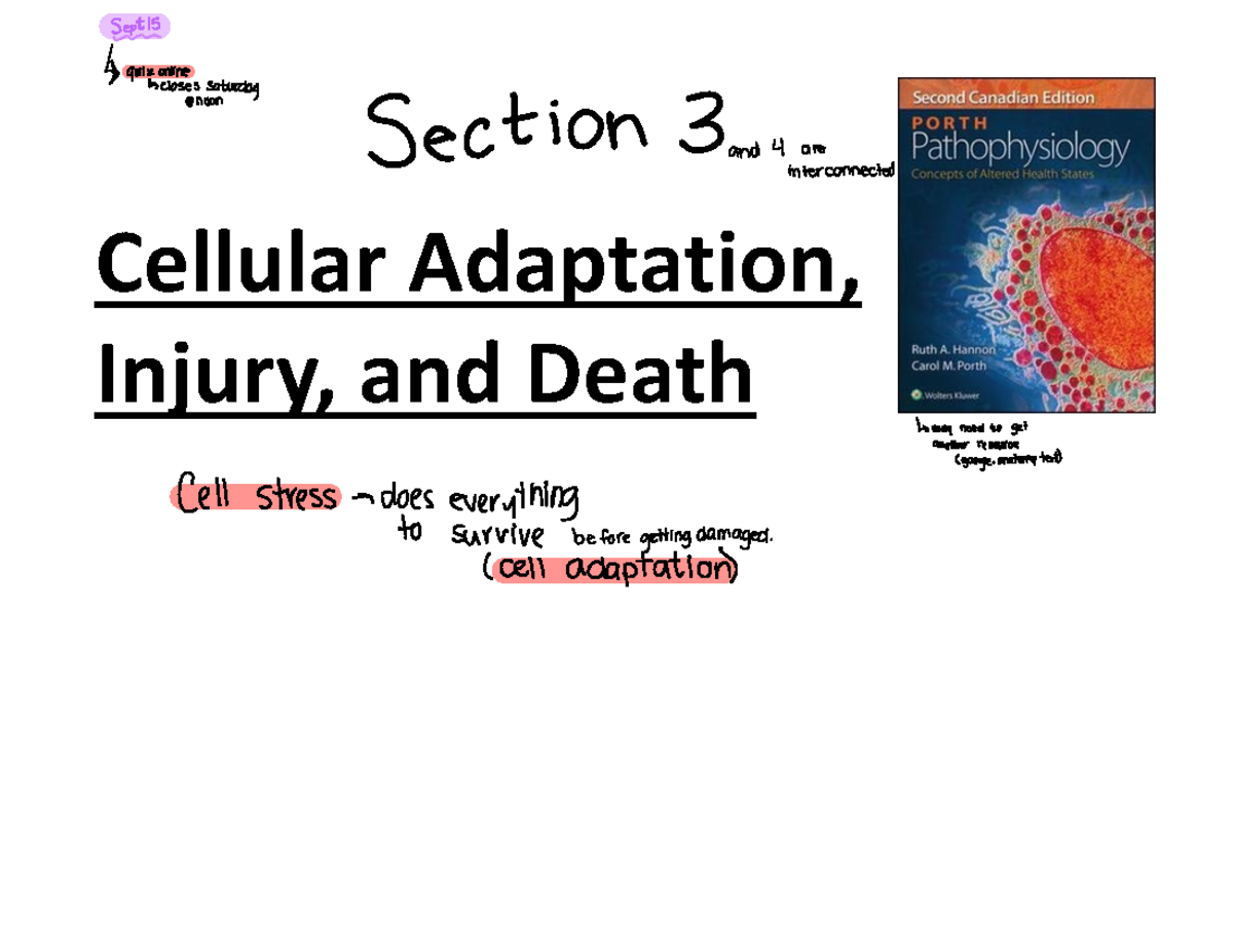 Section 3 cell adaptation full slide deck 2023 - Cellular Adaptation ...