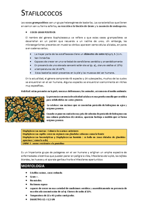 CAPITULO 25 GUYTON - CAPÍTULO 25 COMPARTIMIENTOS DEL LÍQUIDO CORPORAL: Líquidos extracelular e ...