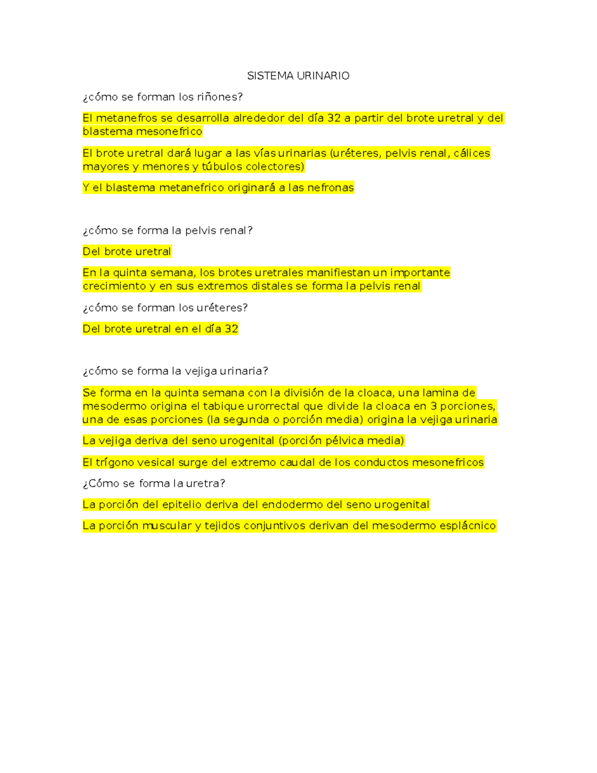 Sistema Urinario - SISTEMA URINARIO ¿cómo se forman los riñones? El ...