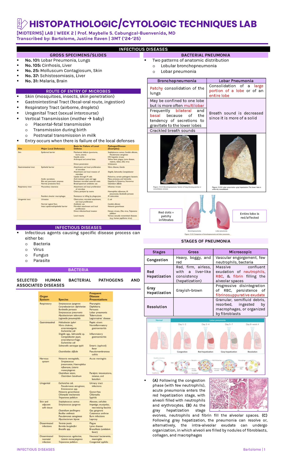 Histopathology Lab Infectious Diseases - HISTOPATHOLOGIC/CYTOLOGIC ...