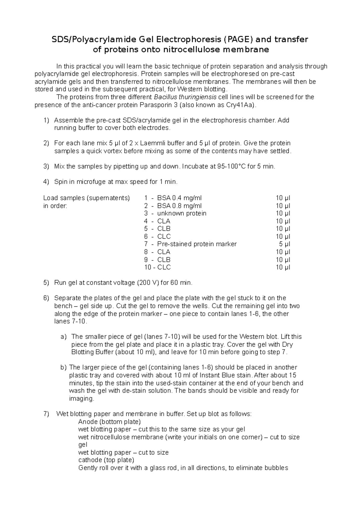 SDS PAGE 2023 - protocol of sds page - SDS/Polyacrylamide Gel ...