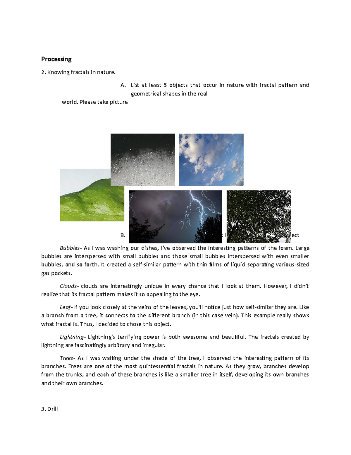 MMW- Module 2 - Processing Knowing fractals in nature. A. List at least ...