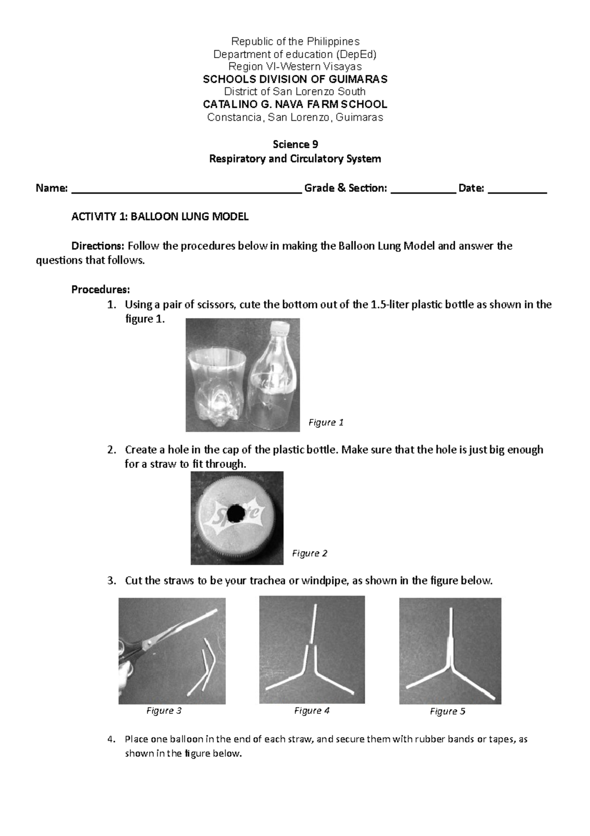 Activity 1 Balloon Lung Model - Department of education (DepEd) Region ...