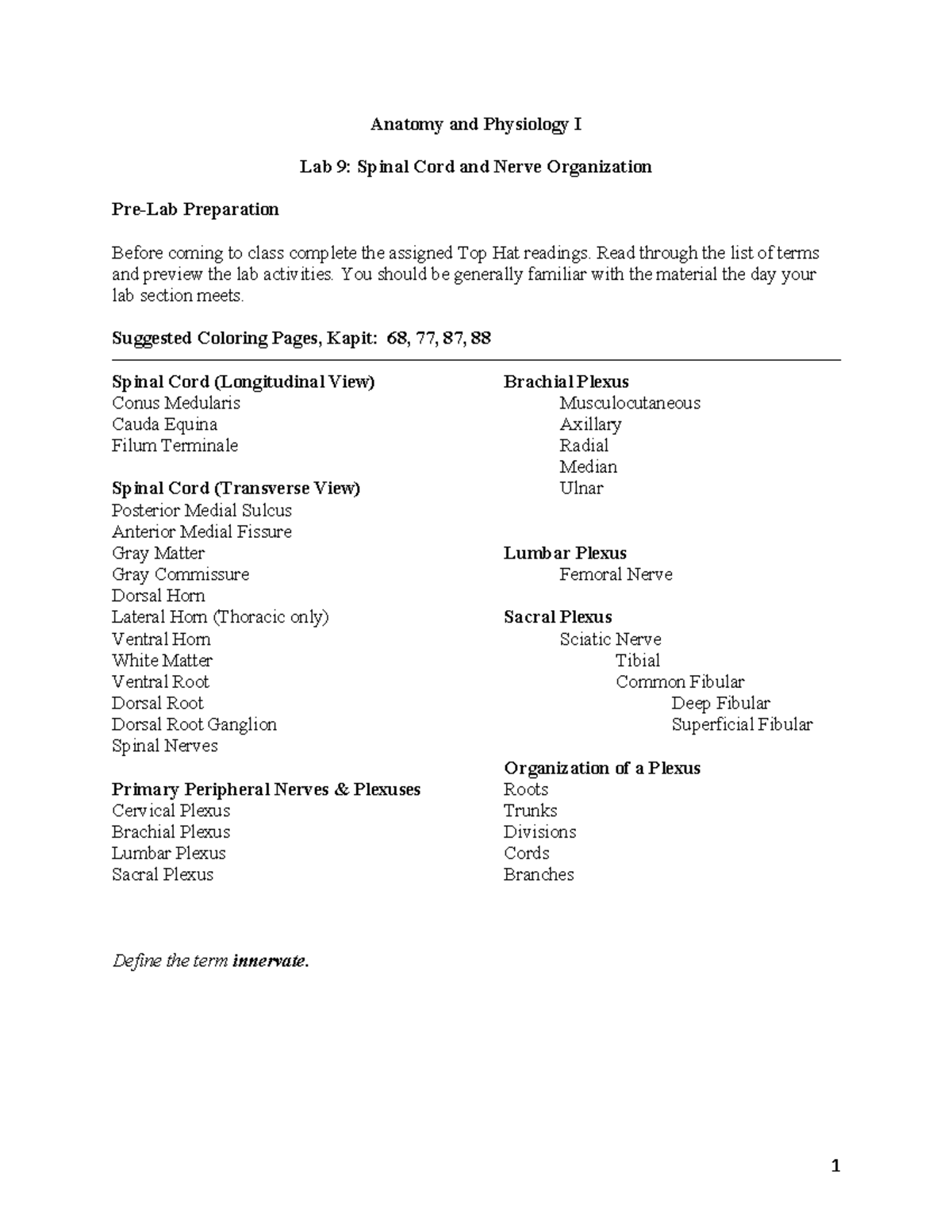 Lab+9+Packet+Spinal+Cord+%26+Peripheral+Nerves - Anatomy and Physiology ...