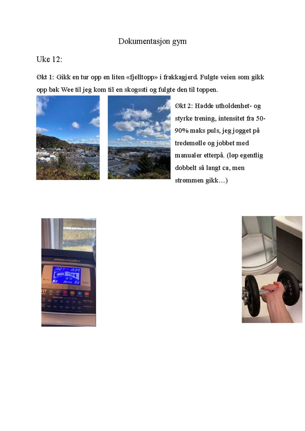 Dokumentasjon-gym - dette er en øktplan for hva du skal gjøre i leksa ...